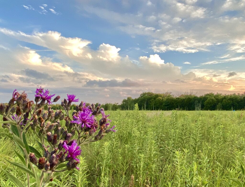 Enter our outdoor photo contest - The Active Age